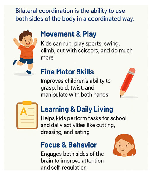 Bilateral Coordination & Activities - Crakid | Buy Wooden Toy For kids ...